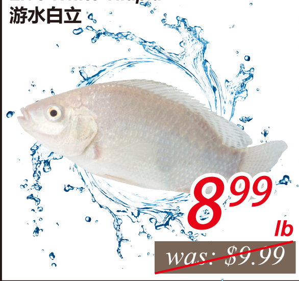 Goflyer - MapleTRI Supermarket