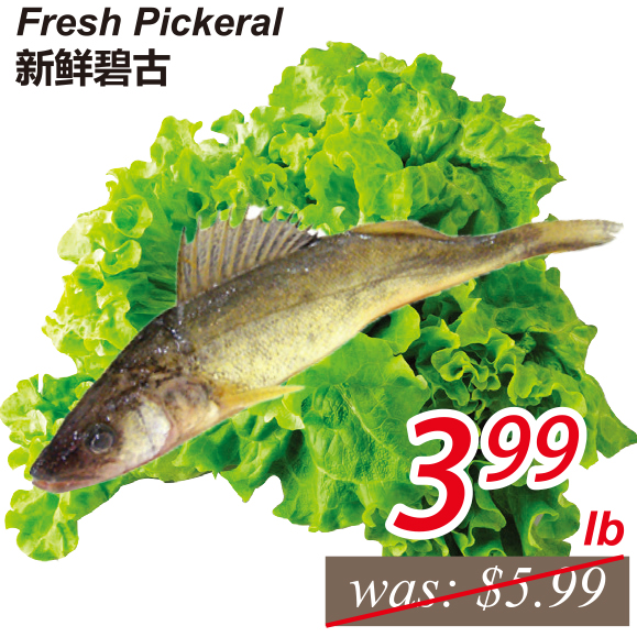 Goflyer - MapleTRI Supermarket