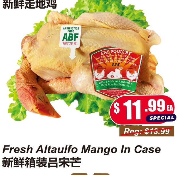 Goflyer - MapleTRI Supermarket