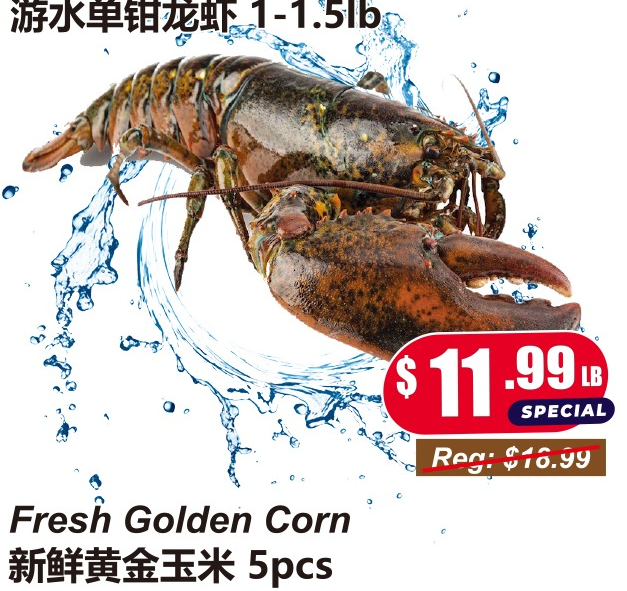 Goflyer - MapleTRI Supermarket