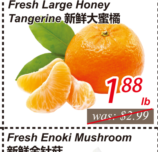 Goflyer - MapleTRI Supermarket