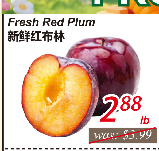 Goflyer - MapleTRI Supermarket