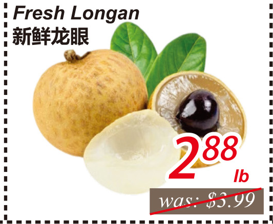Goflyer - MapleTRI Supermarket
