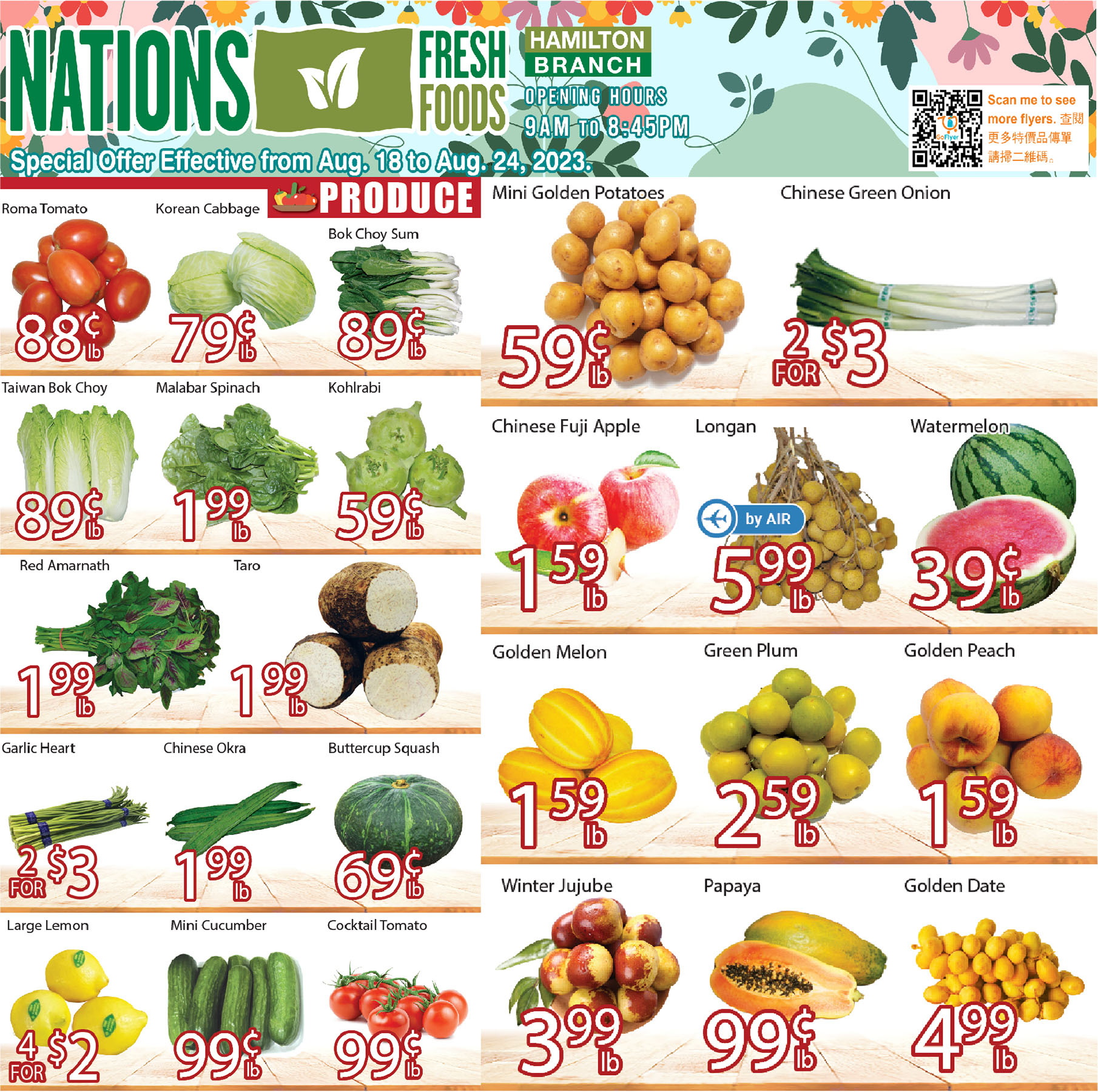 Goflyer - Nations 汉密尔顿店