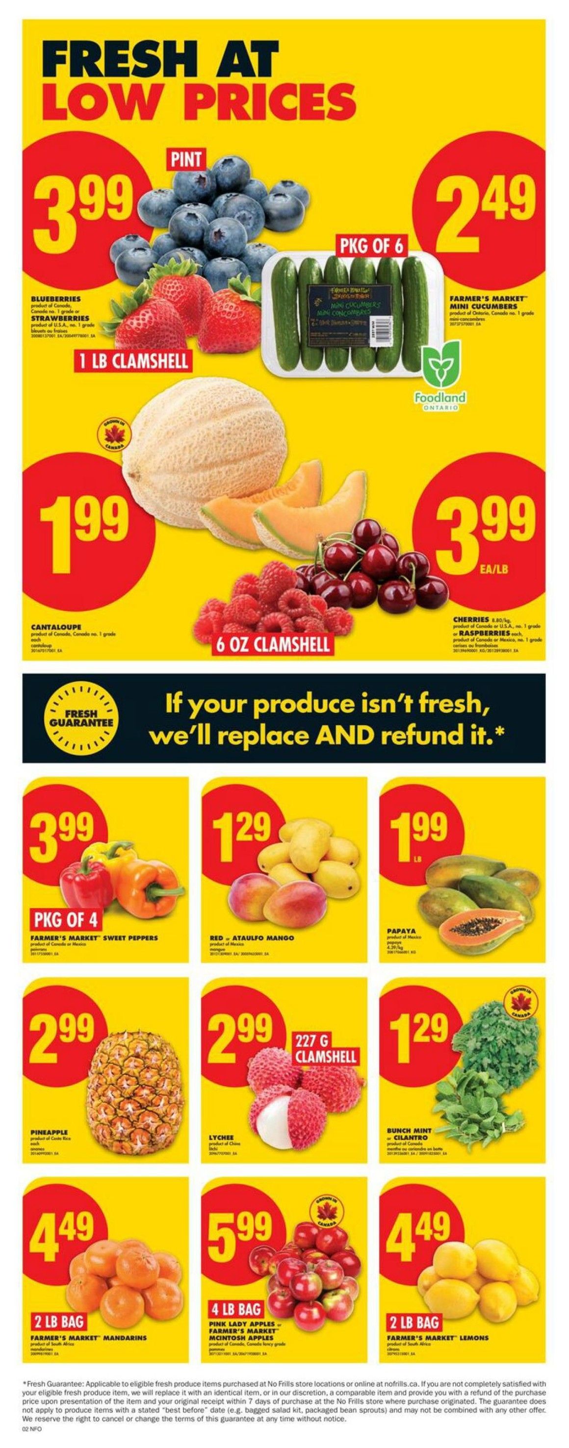 Goflyer - No Frill’s