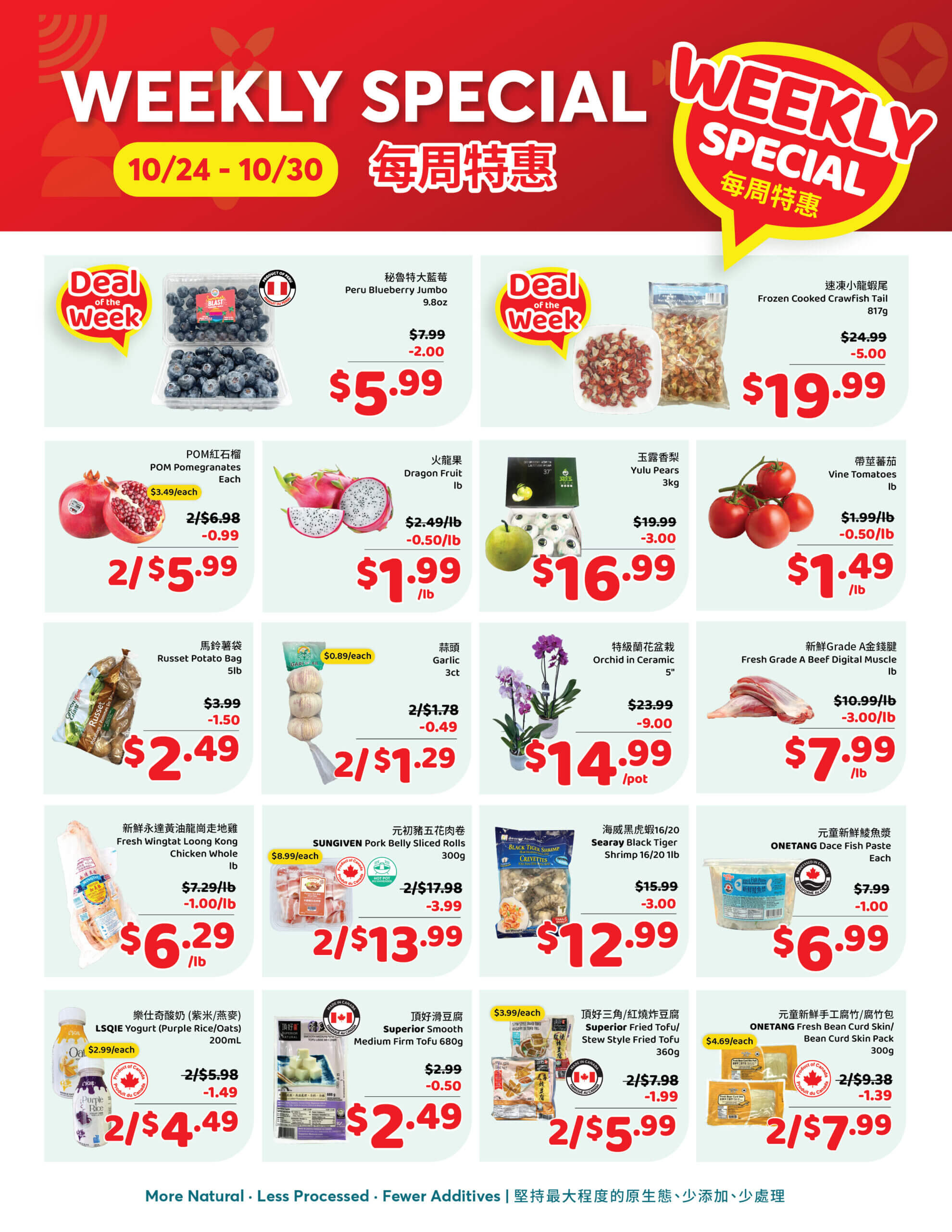 Goflyer - Sungiven Foods